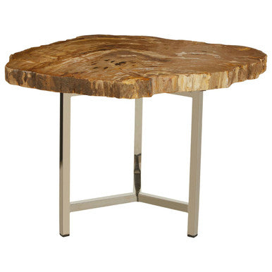 Shop Relic Small Petrified Wood Side Table from Orsina